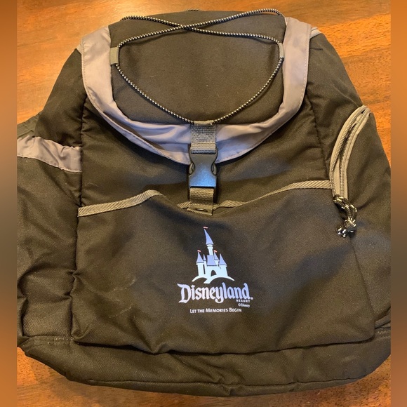 Disney | Bags | Disneyland Resort Cooler Backpack | Poshmark